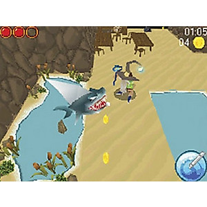 Dungeon Raiders - Nintendo DS