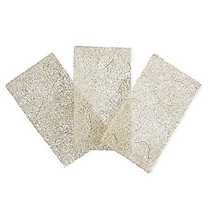 FULL CIRCLE CLEANING PRODUCTS Beachy Clean Heavy Duty Coconut Scour Pads 3pk, 3 CT