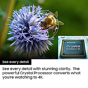 SAMSUNG UN65AU8000 / UN65AU8000 / UN65AU8000 65 inch AU8000 Crystal UHD Smart TV (Renewed)