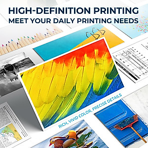 Penguin Remanufactured Printer Ink Cartridge Replacement for HP 61XL,61 XL Used for Hp Deskjet 1000 1010 2540 2546 3050A Envy 4500 4509 5530 Officejet 4630 4609(1 Black,1 Color) Combo Pack