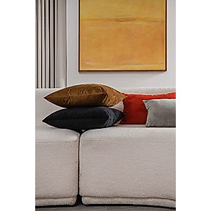 DEZENE Throw Pillow Cases 18x18 Golden Brown: 2 Pack Cozy Soft Velvet Square Decorative Pillow Covers for Farmhouse Home Decor