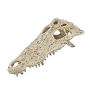 Crocodile Reptile Amphibian Skull Habitat Hide - Premium Non-Toxic Resin for Aquariums & Terrariums – Large Size