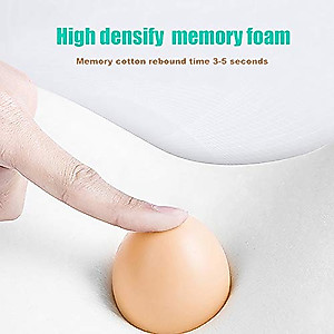 Newgam Lumbar Support Pillow/Back Cushion,Memory Foam Orthopedic Backrest with Breathable 3D Mesh for Car Seat,Office/Computer Chair,Wheelchair and Recliner,Ergonomic Design for Back Pain Relief-Black