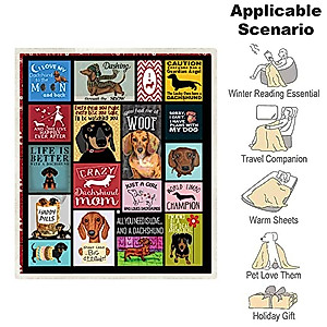 Dachshund Gifts, Dachshund Blanket, Dachshund Gifts for Women, Dachshund Gifts for Dachshund Lovers, Weiner Dog Gifts for Women, Cute Weiner Dog Soft Cozy Throw Blanket for Couch Sofa Bed 60 x 80
