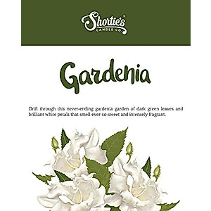 Shortie's Candle Company Pure Gardenia Wax Melts Multi Pack - Formula 117-2 Highly Scented 3 Oz. Bars - Made with Essential & Natural Oils - Flower & Floral Warmer Wax Cubes