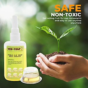 6 Pack Fruit Fly Trap | No Odor, Eco Friendly, Also Catch gnats