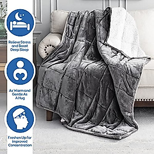 Cottonblue Weighted Blanket 20 lbs, Sherpa Fleece Weighted Blanket Queen Size for Adults, Soft Cozy Fuzzy Heavy Blanket 60 x 80 inches, Idea Gifts for Birthday Holiday