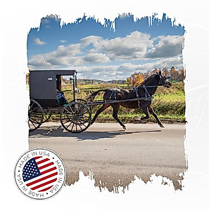 Poly Outdoor Glider - Premium Quality | Affordable Price - Amish Handcrafted in The USA - 20-Year Warranty - All-Weather Resistant & Maintenance Free - Rollback Style (Weathered Wood/Black)