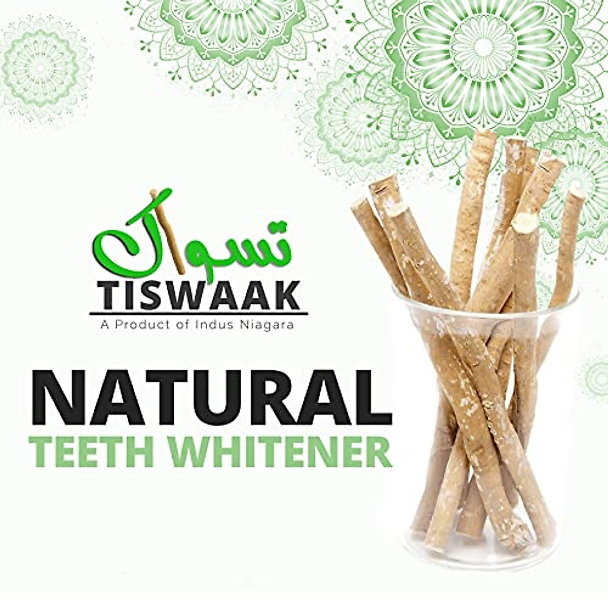 TISWAAK - Pack of 12 Miswak Stick Natural Teeth Whitening Kit – Muslim Natural Flavored Herbal Toothbrush Miswak Sticks Vacuum Sealed with Holder for Healthy Gums, Teeth & Fresher Breath || Pack of 12