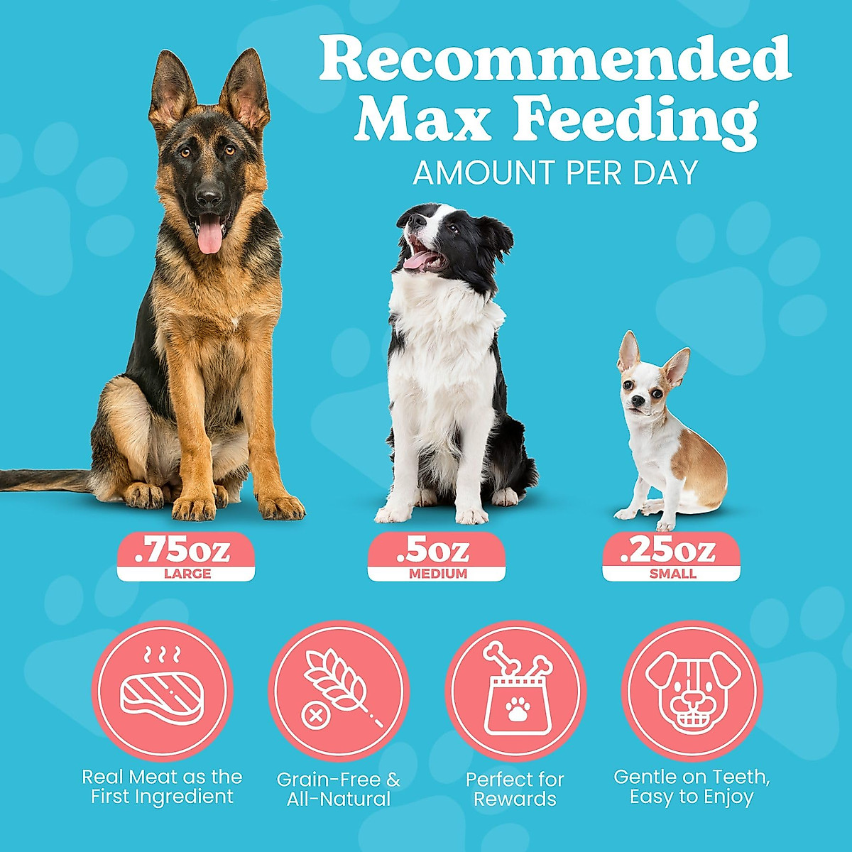 Wild Meadow Farms - Classic Salmon Bites, Soft Jerky Treats for Dogs, Grain-Free & All-Natural, Ideal for Training, Portioning, and High-Value Rewards for All Breeds & Ages - 3.5 Ounce Pouch