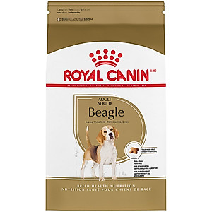 Royal Canin Beagle Adult Dry Dog Food, 6 lb bag
