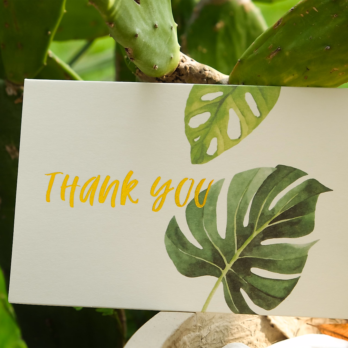 Crisky 4x6 Greenery 4 Assorted Thank You Cards with Envelopes (50 Pack) & Stickers Greeting Cards Bulk, tropical plants for Birthday, Baby Shower,Bridal Shower, Wedding, Graduation