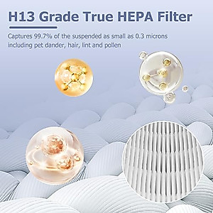 ROMON MK01 & MK06 Filter Replacement for MK01 MK06, ToLife TZ-K1, Kloudi DH-JH01 air Purifier, Standard Version, 2 Pack, Blue