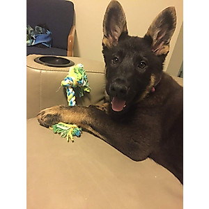 Ethical Pets Dental Rope 2-Knot Chew Toy, Small/9"