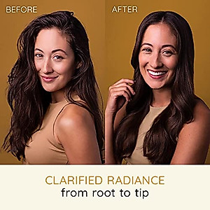 Aveeno Apple Cider Vinegar Sulfate-Free Shampoo for Balance & High Shine, Daily Clarifying & Soothing Scalp Shampoo for Oily or Dull Hair, Paraben & Dye-Free, 12 Fl Oz