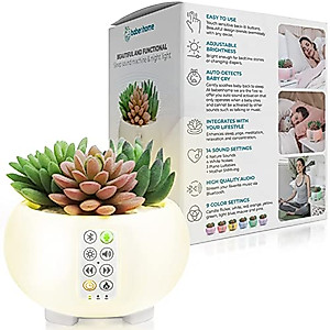 【3 in 1】White Noise Sound Machine for Sleep Adults Kids Baby – White Noise Machine for office privacy & noise canceling - Pink and Brown Noise, Lullaby’s and Nature Sleep Sounds for Deep Restful Sleep