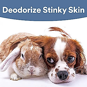 SkinSmart Antimicrobial Skin and Wound Care for Pets, Removes Bacteria to Promote Healing and Relieves Itch, 8 Ounce Spray Bottle