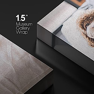 H5print Custom Canvas Prints Personalized Wall Art with Your Pet Photos/Pictures Digitally Printed - 10x8inches