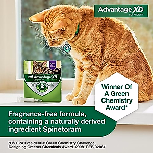 Advantage XD Large Cat Flea Prevention & Treatment For Cats over 9lbs. | 1-Topical Dose, 2-Months of Protection Per Dose