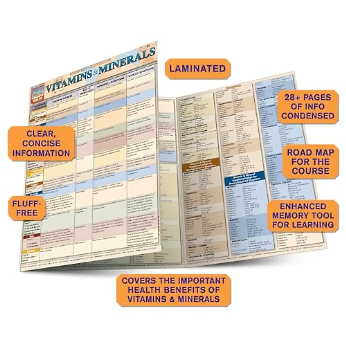 Vitamins & Minerals: a QuickStudy Laminated Reference Guide (QuickStudy Health)
