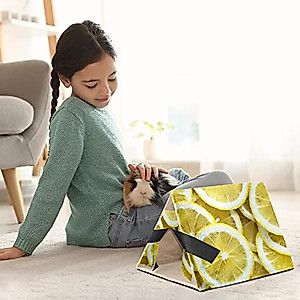 Y-DSIWX Guinea Pig Hideout Cozy Hamster House Cave for Bunny Chinchilla Hedgehog Small Animal Lemon Slices