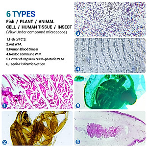 50 Prepared Microscope Slides with Specimens for Kids Students - Plants Insects Fish Animals Human Tissue Cells Samples, for Biological Science Lab, Children Education, Homeschool