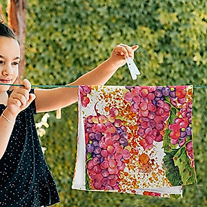 Set of 2 Premium Polyester Cotton Hand Towels Vintage Wine Grape, Highly Absorbent,28.3 x 14.4in(227vb1a)