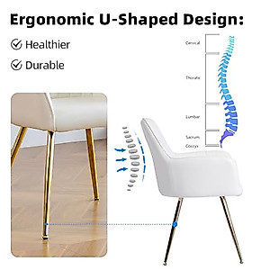 Purgreen Faux Leather Dining Chair Set of 2 - Modern Mid-Back Accent Chair with Gold Plating Legs - Upholstered Living Room Chair (Leather Beige, Set of 2)