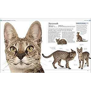 The Cat Encyclopedia: The Definitive Visual Guide (DK Pet Encyclopedias)