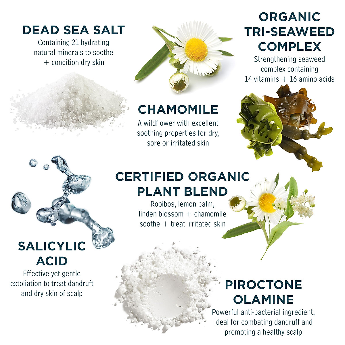 Sea Magik Mineral Shampoo 10.14fl oz - Sulfate Free Shampoo with Organic Seaweed/ 100% Vegan/ Sustainable Packaging