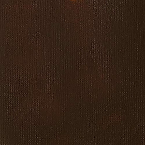 Liquitex BASICS Acrylic Paint, 250ml (8.5-oz) Tube, Burnt Umber