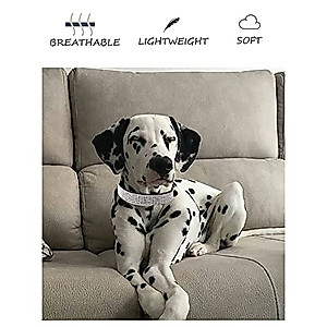 Dog Collar for Small Dogs, Adjustable Leather Suede Bling Dog Collars，Pink Dog Collar Cat Collar, Rhinestone Dog Collar(S, Pink)