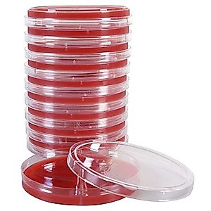 Blood Agar, 5 Percent/Blood Agar, 5 Percent, 15x100mm Biplate, Order by the Package of 10, by Hardy Diagnostics