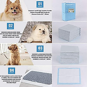 kathson Rabbit Pee Pads Disposable Cage Liners Super Absorbent Black Carbon Odor-Control Bunny Training Pad with Quick-Dry Surface for Bunny Guinea Pig Kitten Hedgehog Small Animals (100 pcs Gray)