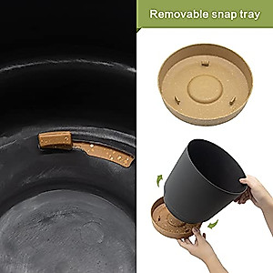 QCQHDU Plant Pots Set of 2 Pack 8 inch,Planters for Indoor Plants with Drainage Holes and Removable Base,Saucer Modern Decorative for Outdoor Garden Planters(Dark Grey 8in)