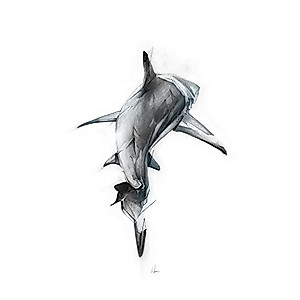Shark 3