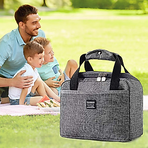 IRONBADGE Insulated Reusable Lunch Bag for Women/Men: Waterproof, 9L, Grey, Work/Picnic/Camping