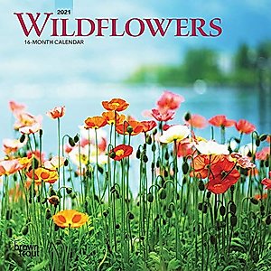Wildflowers 2021 Calendar
