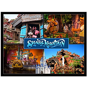 Splash Mountain Photo MAGNET 5.25 x 4 inches