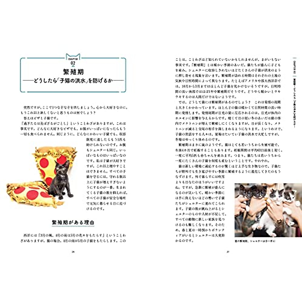 保護猫の育て方