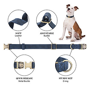 Faleela Leather Dog Collar - Durable Heavy-Duty with Quick-Release Metal Buckle, Adjustable for Large, Medium, and Small Dogs (Blue, Small)