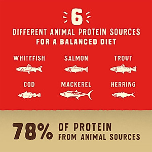 Stella & Chewy's Wild Red Dry Dog Food Raw Coated High Protein Wholesome Grains Ocean Recipe, 21 lb. Bag