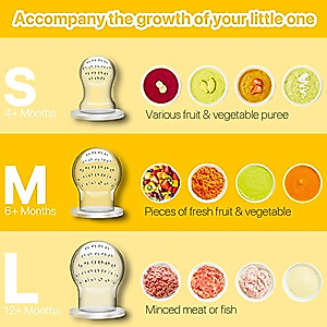 Baby Spoons Silicone Baby Led Weaning Feeding Spoon Set with Baby Fruit Feeder Pacifier Fresh Food Feeder (2 Count) - Baby Teething Toys Teether, Mash and Serve Bowl, Baby Feeding Set First Stage