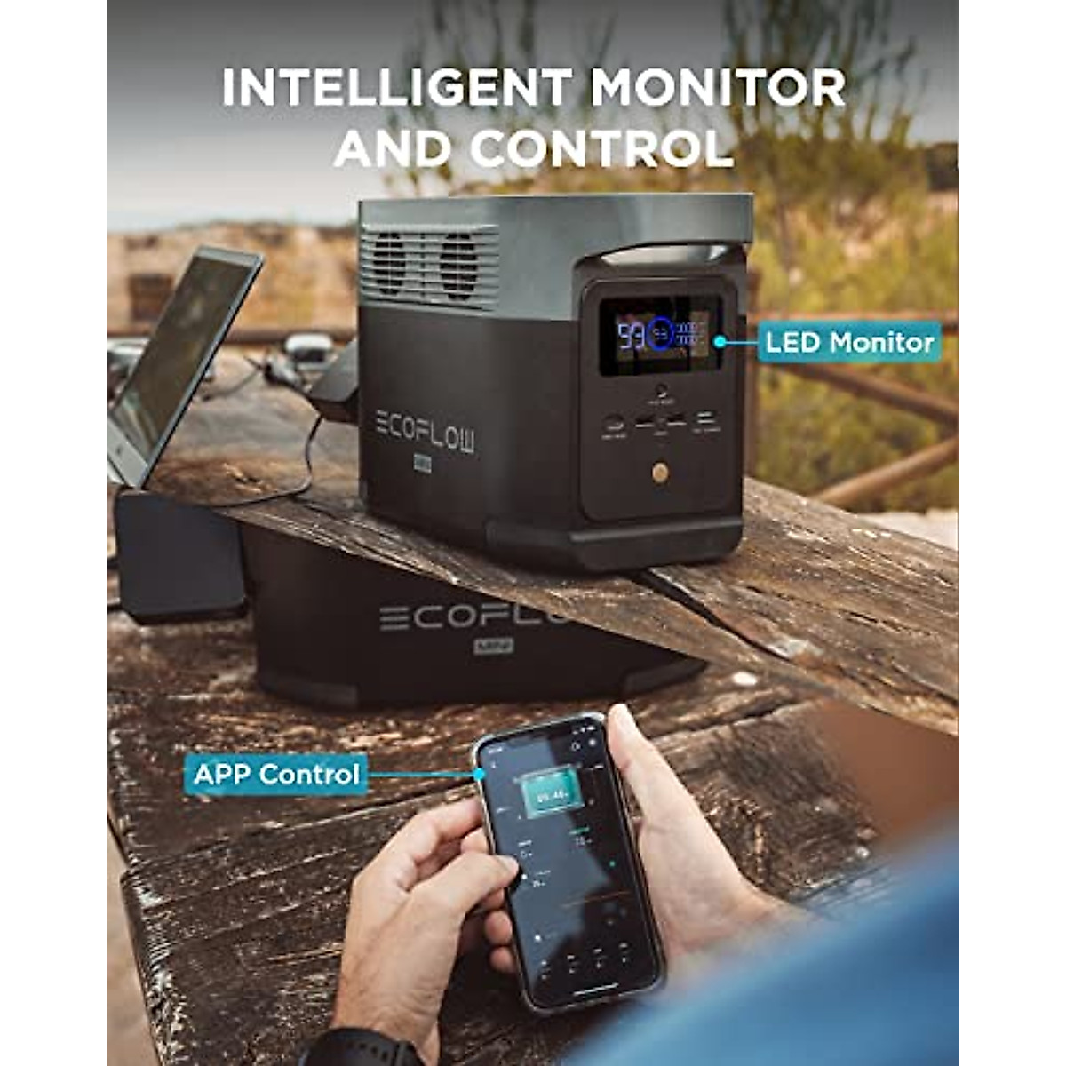 EF ECOFLOW Portable Power Station DELTA Mini, 882Wh Capacity, Solar Powered Generator for Outdoor, Emergency, Home Backup, RV(Solar Panel Not Included)