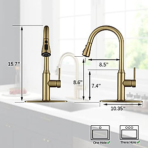 Gold Kitchen Faucet with Sprayer,Single Handle Kitchen Sink Faucet with Pull Out Sprayer, Champagne Bronze,Arofa