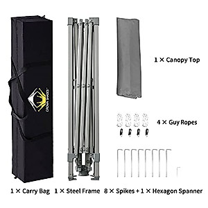 CROWN SHADES Patented 10ft x 10ft Base and 8ft x 8ft Top Slant Leg Outdoor Pop up Portable Shade Instant Folding Canopy with Carry Bag,Grey