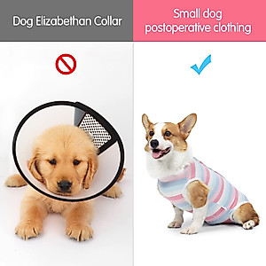 Dog Recovery Suit Dog Onesie for Surgery Recovery, Dog Surgery Recovery Suit for Small Medium Dogs, E-Collar Alternative After Surgery Wear Anti Licking Abdominal Wounds Pet Surgery Recovery Suit