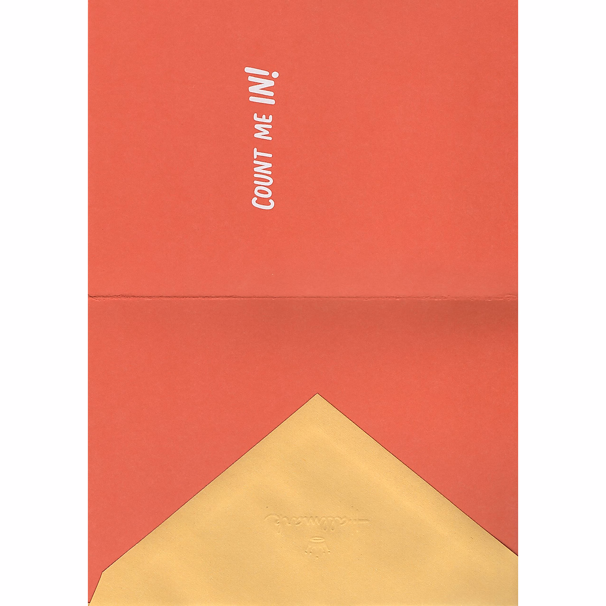 Llama Funny Wild and Crazy Birthday Card Made in USA