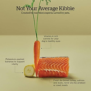 Now Fresh Grain-Free, Dry Dog Food, Real Meat and Fish, Turkey, Salmon and Duck Puppy Recipe, All Breed Size, 3.5 lb Bag