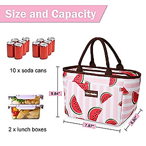 Tirrinia Lunch Bags for Women Men, Cute Insulated Lunch Tote Bag for Women, Fashionable Leakproof Lunch Box for Adult, Reusable Large Cooler Lunch Bag for Working/Picnic - Pink Melon